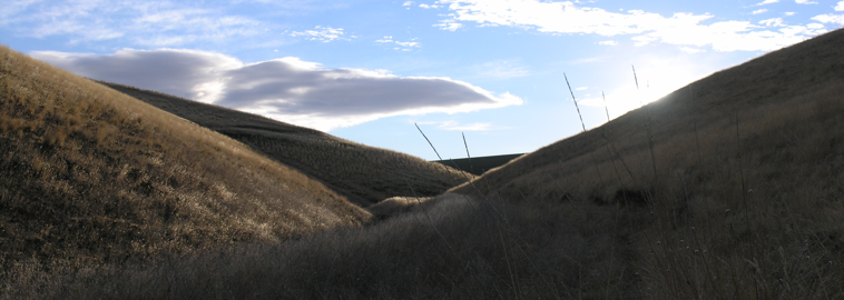 View development projects in Camas, Sandy and Eastern Washington - M.H ...